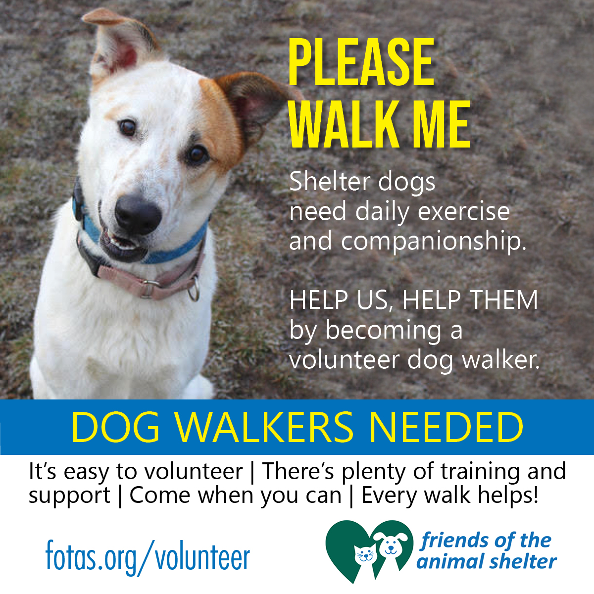 Volunteers Needed Animals