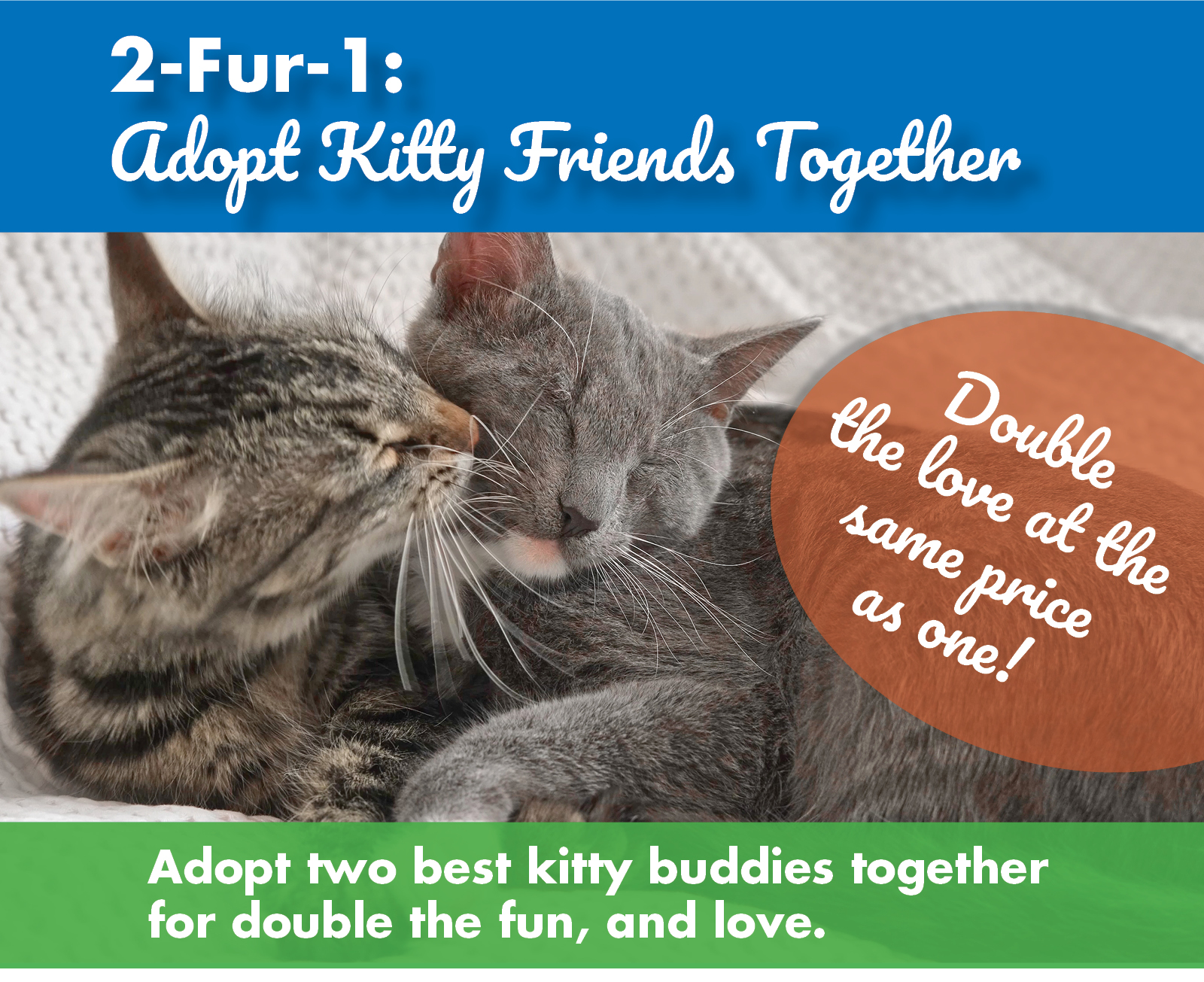 Friendship Memes Animals